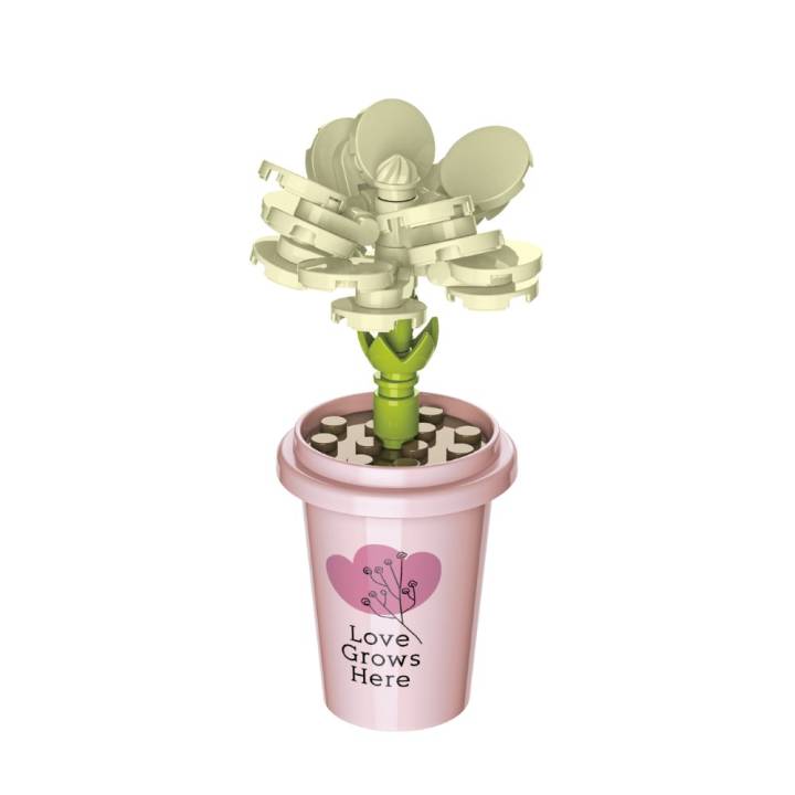 Plantas con maceta en kit Cubix - 10 modelos surtidos