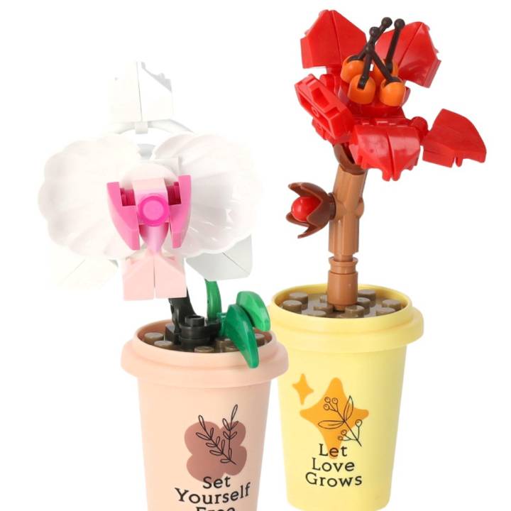 Plantas con maceta en kit Cubix - 10 modelos surtidos